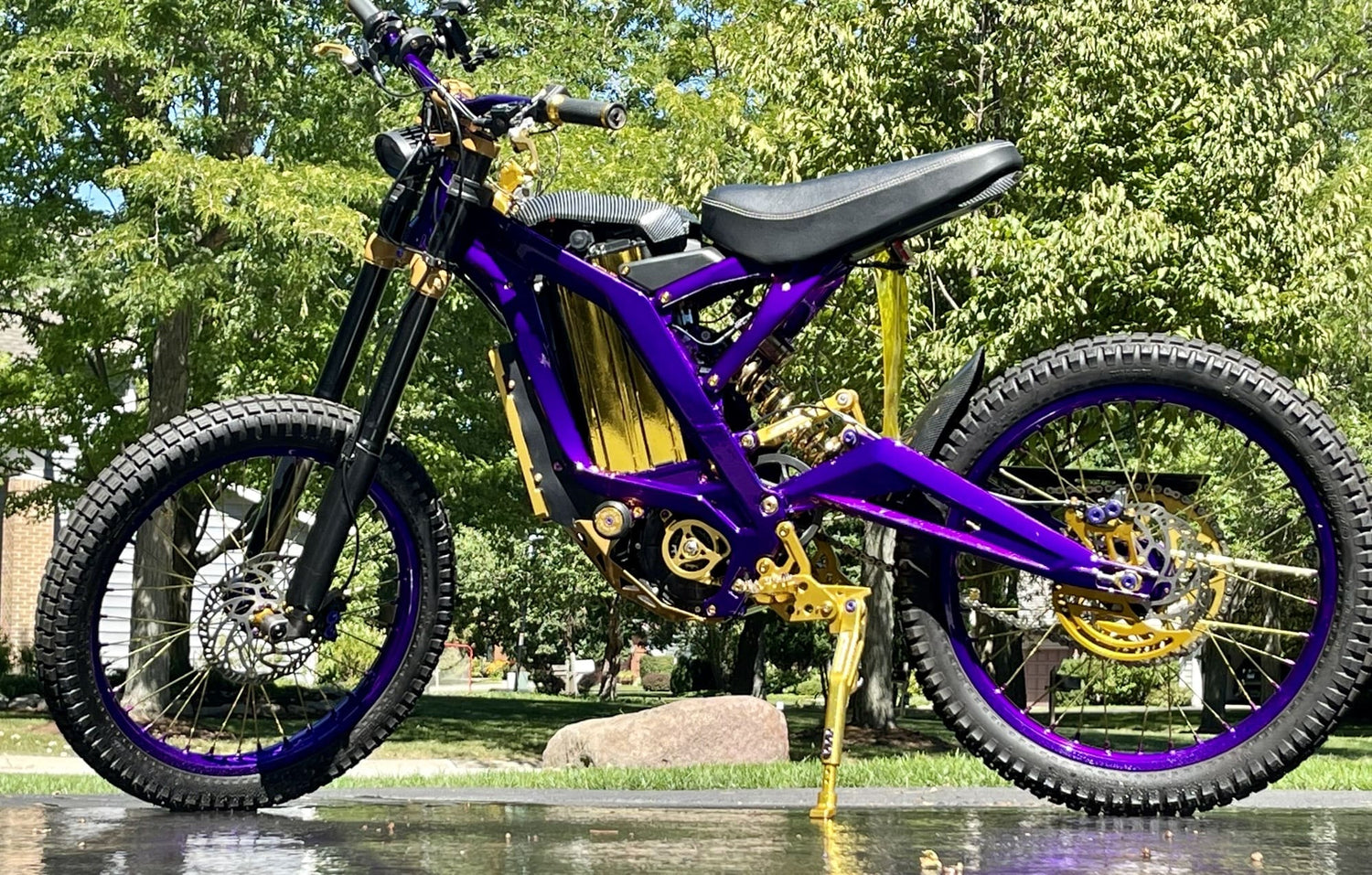 Custom Titanium Hardware & Parts for e-moto! – Titanium Surron ...