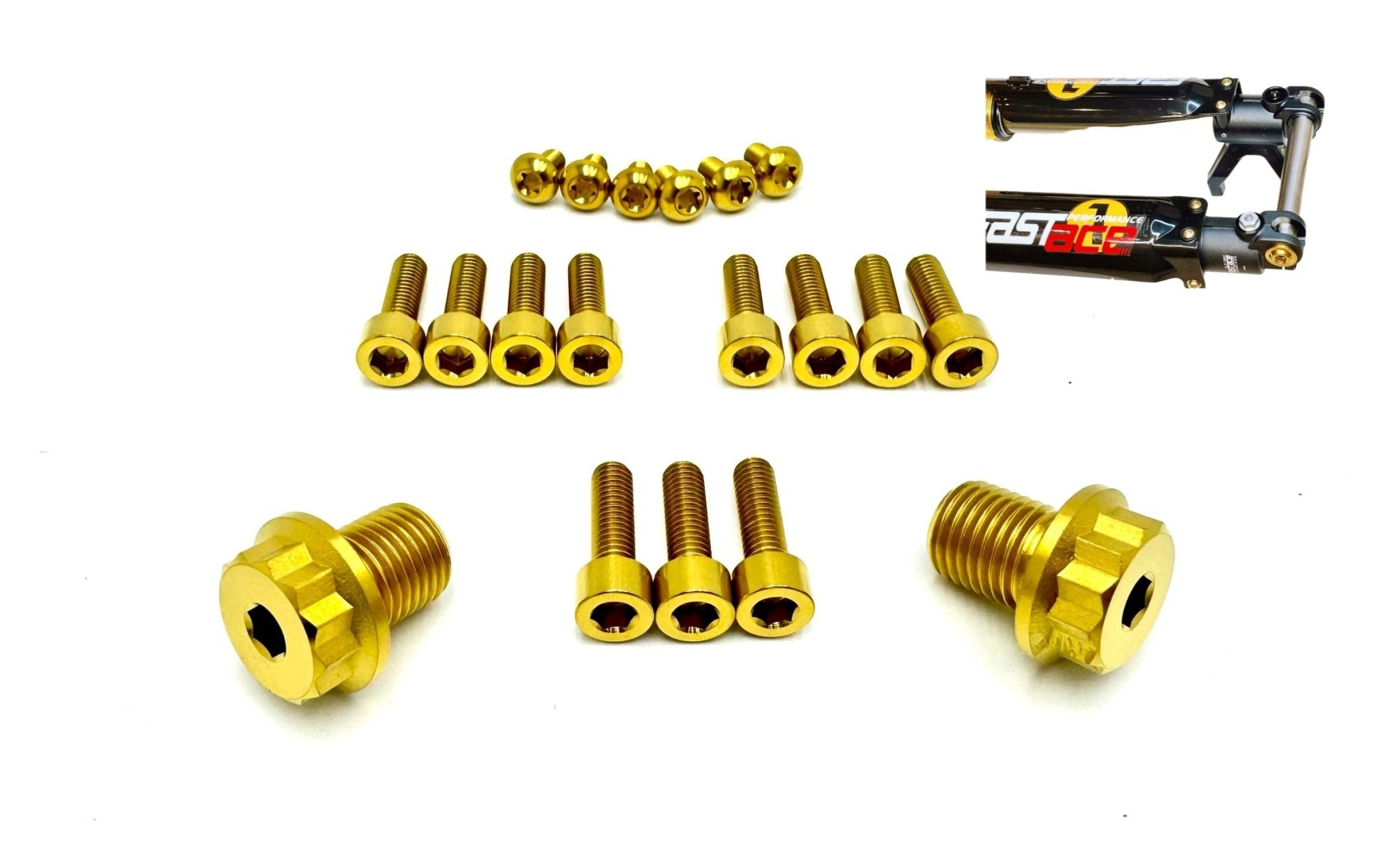 FastAce Fork Titanium Bolt Kits Includes Two Axle Bolts – Titanium Surron