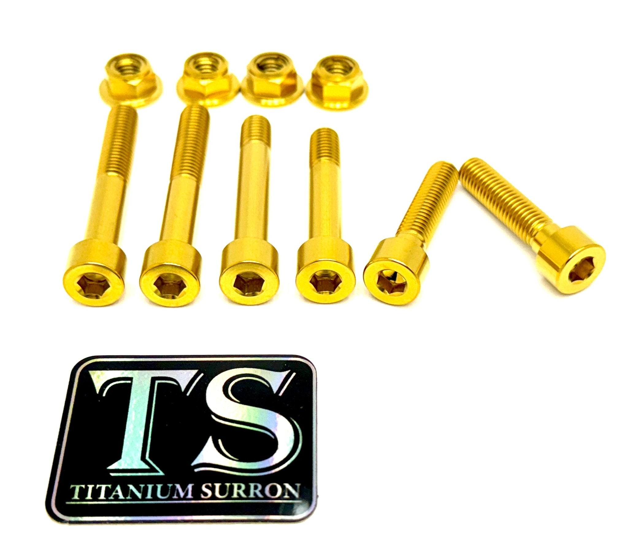 Rear Suspension/ Linkage Bolt Kit for Surron LBX & Segway – Titanium Surron